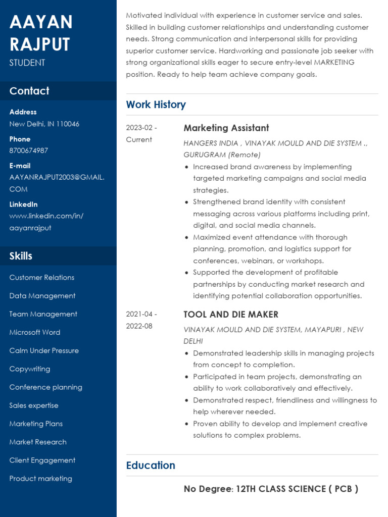 AAYANRAJPUT - Resume - 2 - Aayan Rajput | PDF | Marketing | Customer Relationship Management