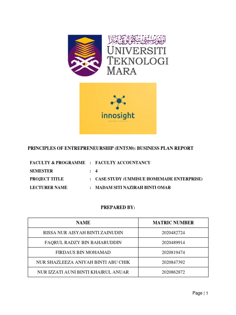 Ent Company Analysis Sample | PDF | Market Segmentation | Marketing