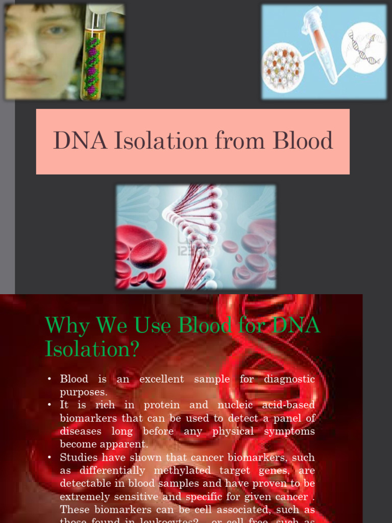 Blood DNA Isolation Protocol | PDF | Lysis | Dna