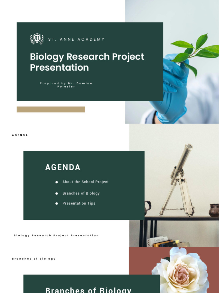 School Project Presentation Template | Download Free PDF | Zoology ...