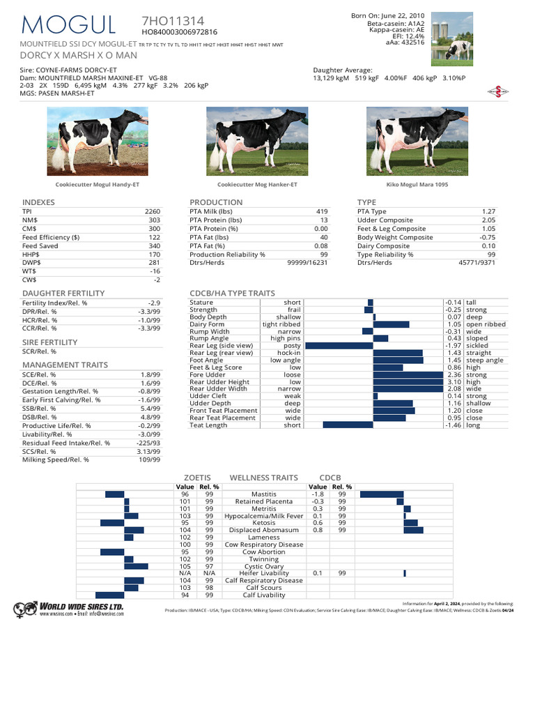Mogul Wws | PDF | Domesticated Animals | Bovines