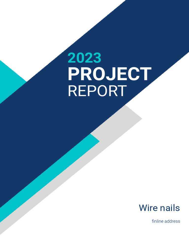 Project Report-Wire Nail | PDF | Business Economics | Financial Accounting