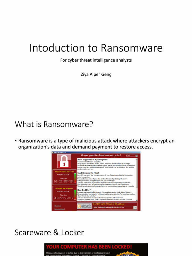 Ransomware Sunum | PDF