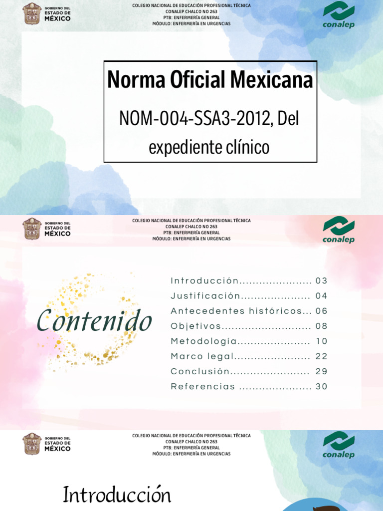 Norma 004 | PDF | Enfermería | Cuidado de la salud
