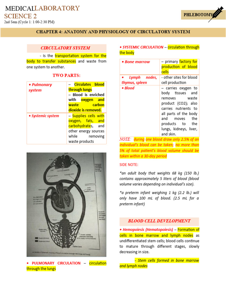 Anatomy and Physiology of The Circulatory System | PDF | Blood | Blood ...
