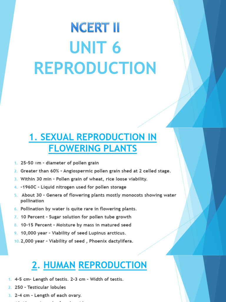 Ncert 2 Data | PDF | Base Pair | Gene