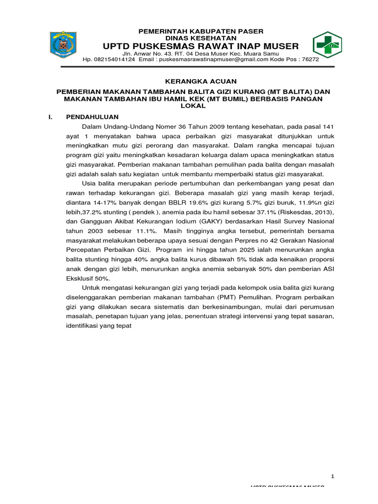 Program PMT Gizi Balita dan Ibu Hamil | PDF