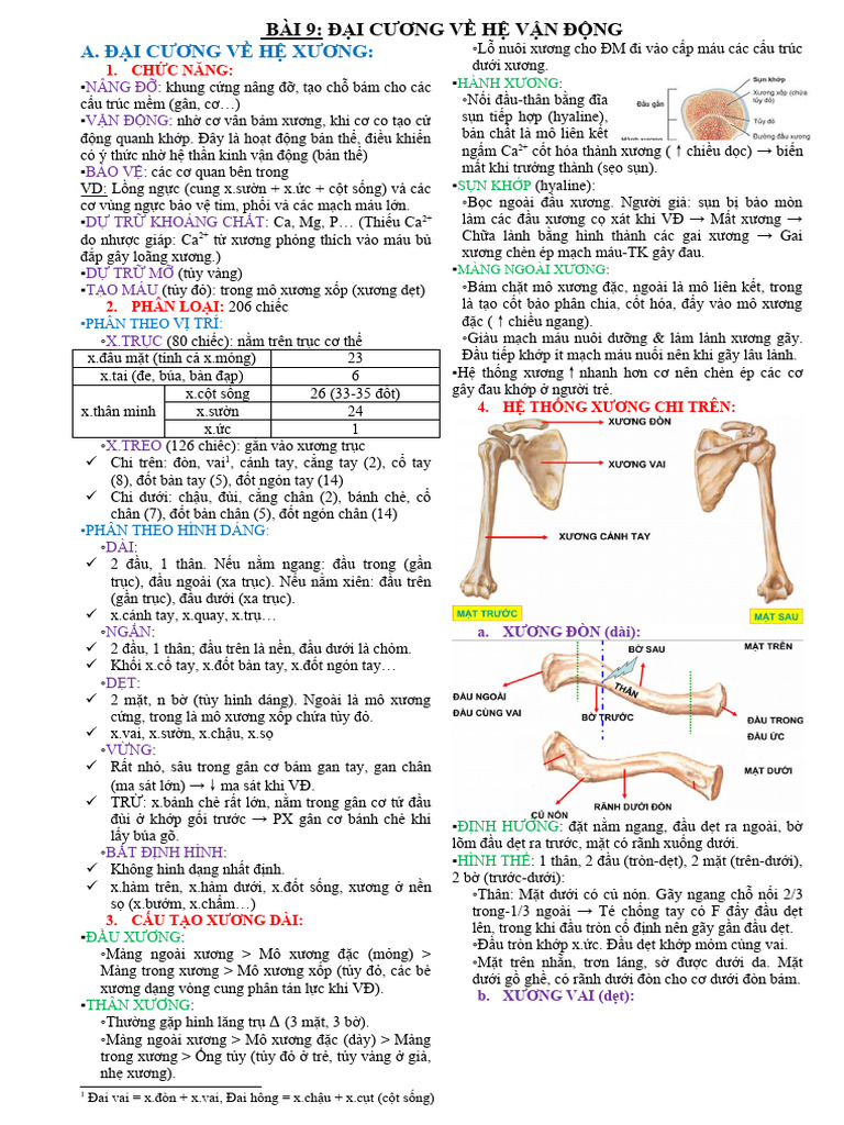 He Van Dong | PDF