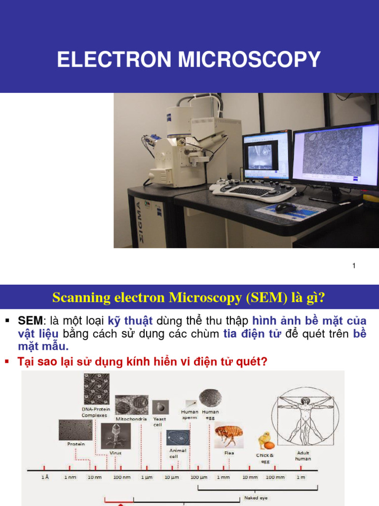 chapter 4_SEM & TEM | PDF