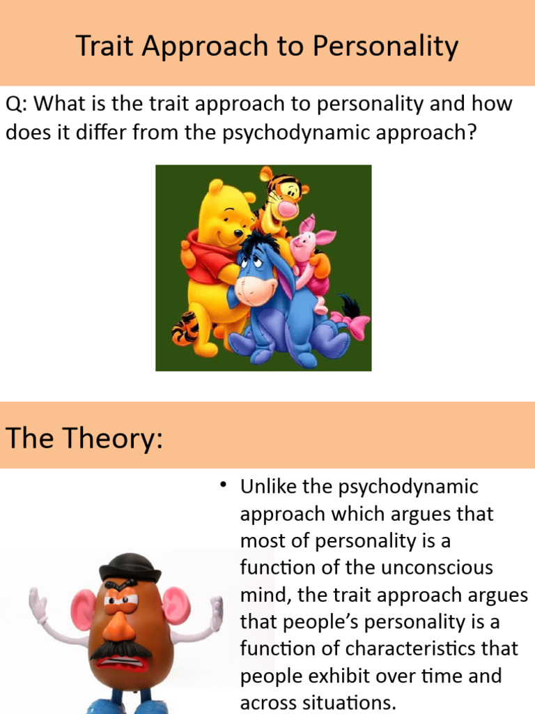 Trait Approach to Personality | PDF