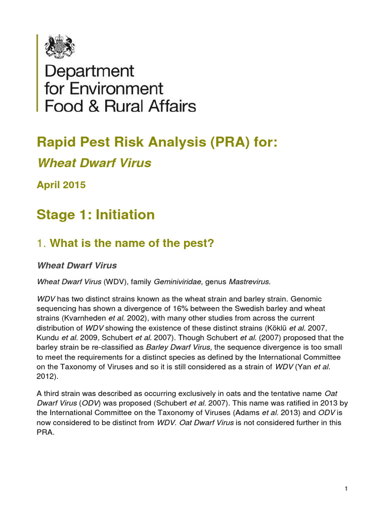 Wheat Dwarf Virus Risk Analysis UK | PDF | Wheat | Barley