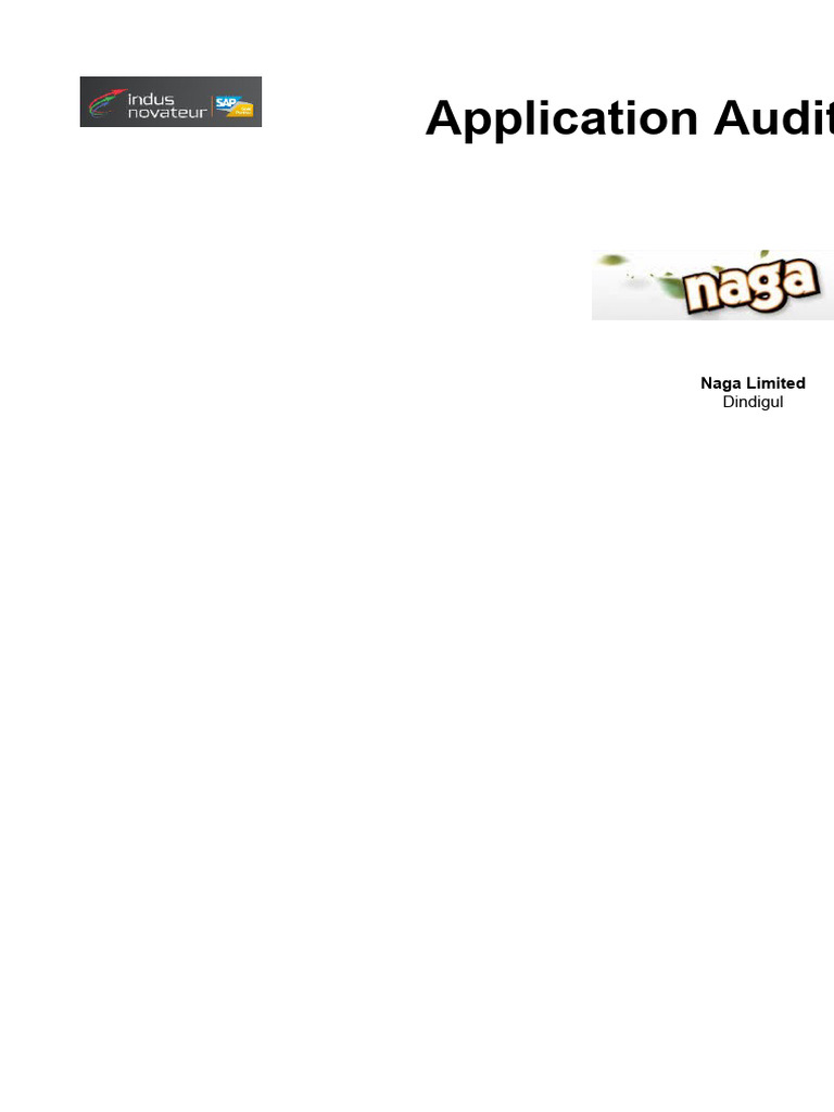 Audit Checklist | PDF | Computing Platforms | Utility Software