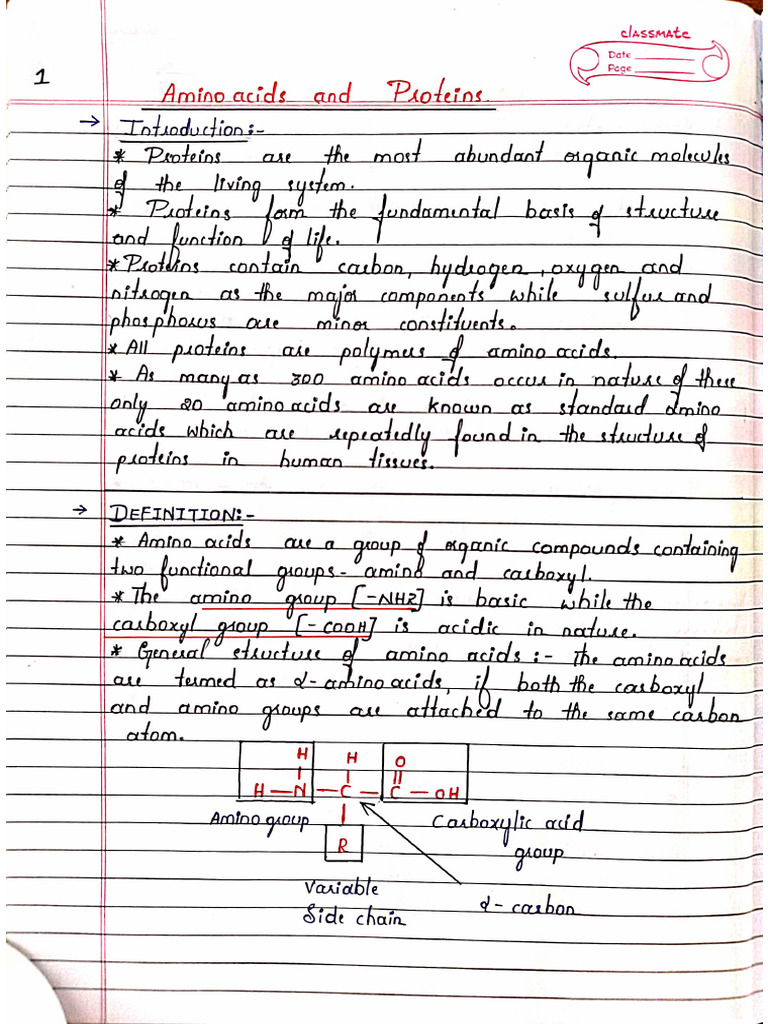 Amino Acids and Proteins Notes | PDF