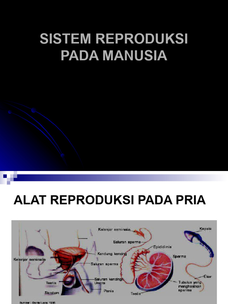 Sistem Reproduksi Pada Manusia Bahan Ajar Sma | PDF | Kesehatan Holistik | Sains & Matematika