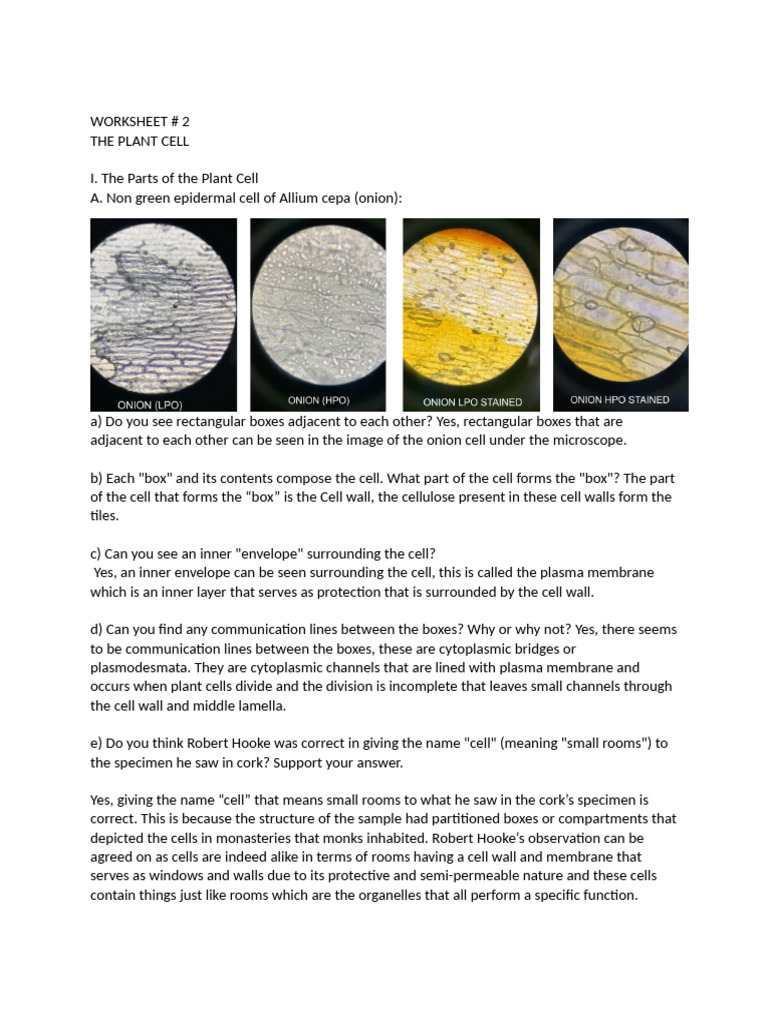 Botany Experiment 2 Pdf Cell Biology Vacuole