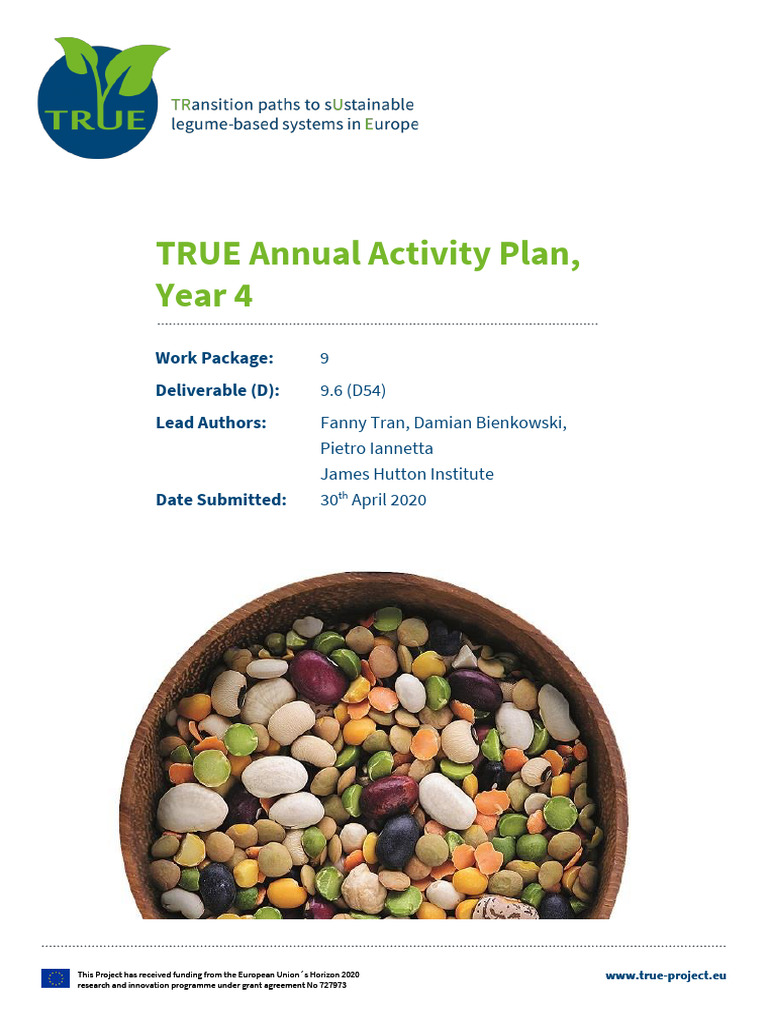 TRUE Project Year 4 Activity Plan | PDF | European Union | Innovation