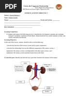 Urinary System Diagram | PDF