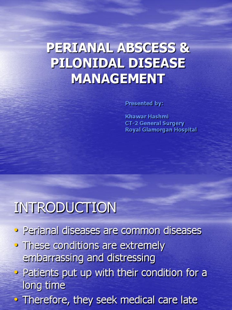 Perianal Abscess Pilonidal Disease | Rectum | Diseases And Disorders