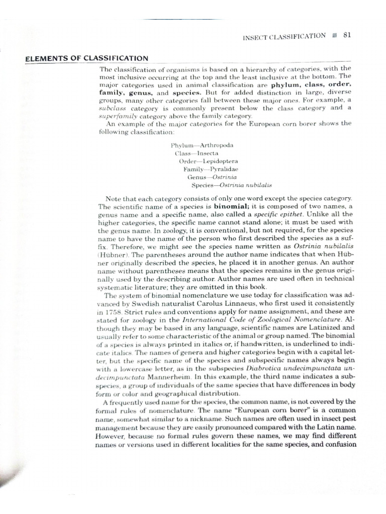 AFA8 - Insect Classifications | PDF