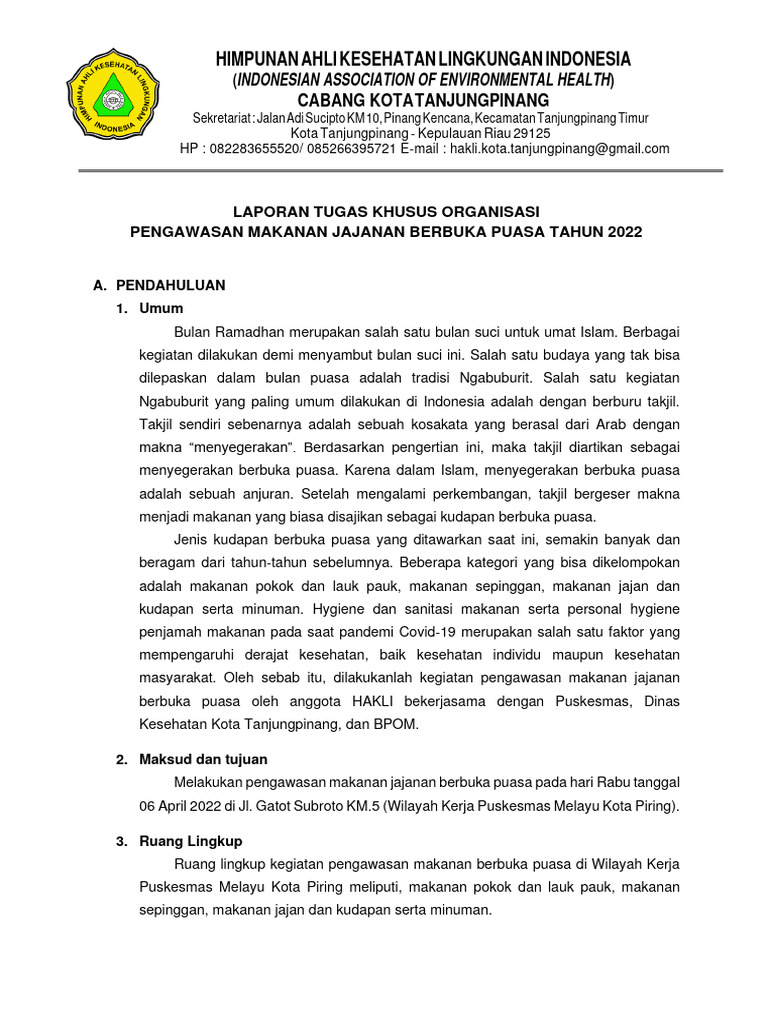 Laporan Tugas Khusus Organisasi Bang Adit | PDF