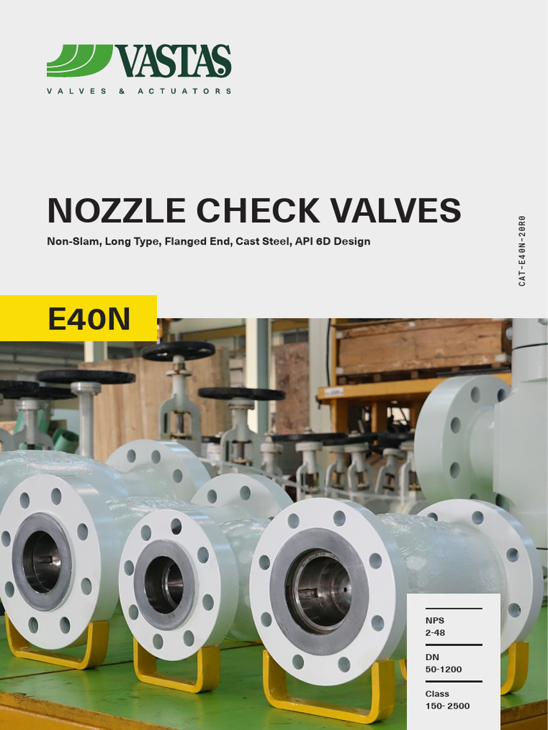 E40N Nozzle Check Valve | PDF | Valve | Mechanical Engineering