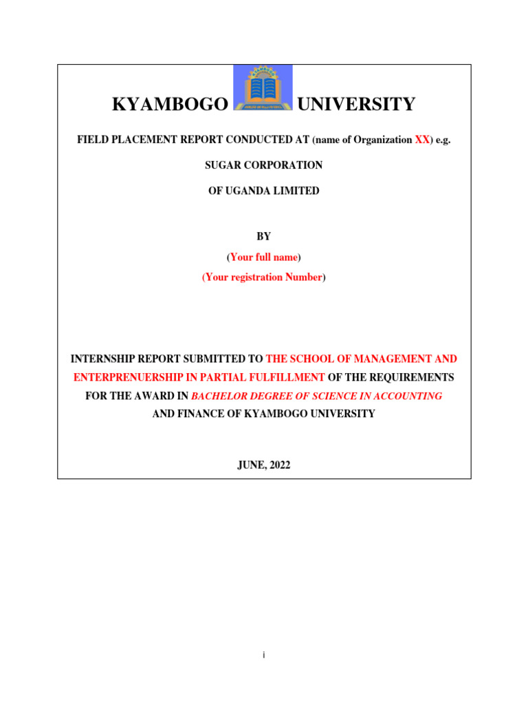 Accounting Internship Report Sample Pdf Job Hunting Internship