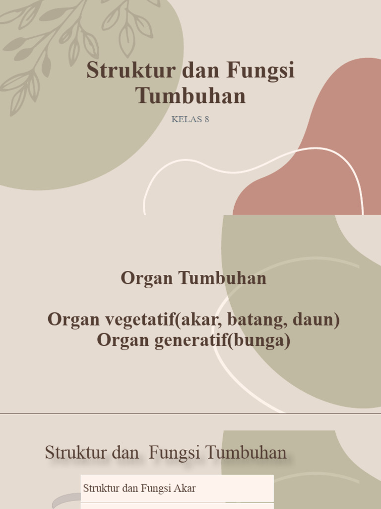 Struktur dan Fungsi Tumbuhan | PDF | Griya & Taman | Kesehatan Holistik