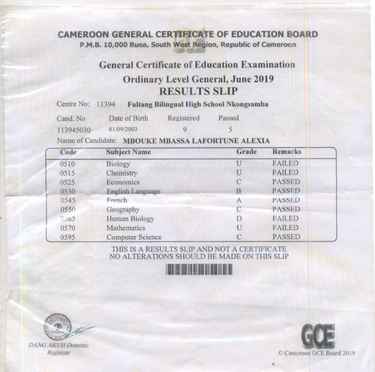 Ordinary Level 2019 | PDF