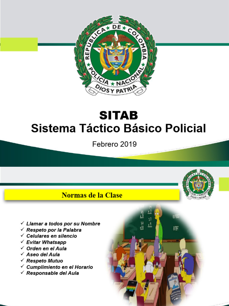 2020 - Presentacion Sitab | Descargar gratis PDF | Policía