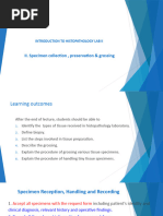 Gross Examination in Surgical Pathology | PDF | Histopathology | Pathology