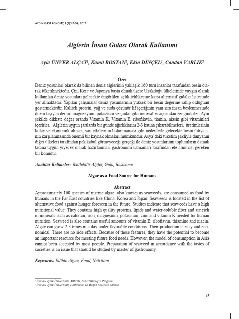 Alglerin - Nsan G - Das - Olarak Kullan - M - ( | PDF