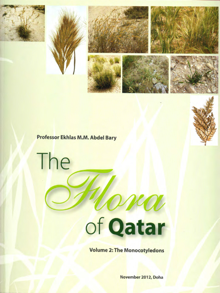 The Flora of Qatar Monocotyledons | Download Free PDF | Mangrove | Plants