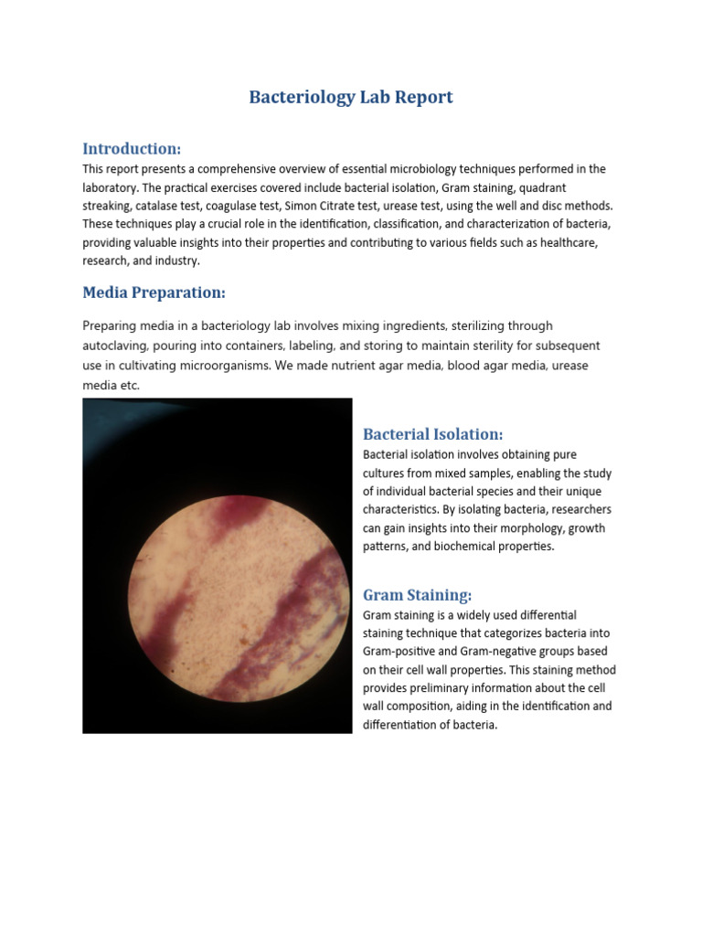 Essential Bacteriology Lab Techniques | PDF | Bacteria | Catalase