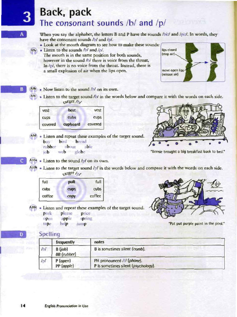 ORAL COMMUNICATION (S1) (CONSONANT SOUNDS) Lecture 3-4 | PDF