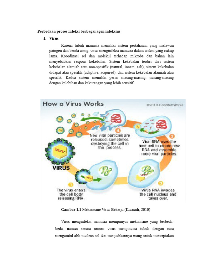 Perbedaan Proses Infeksi Berbagai Agen Infeksius | PDF | Ilmu Sosial