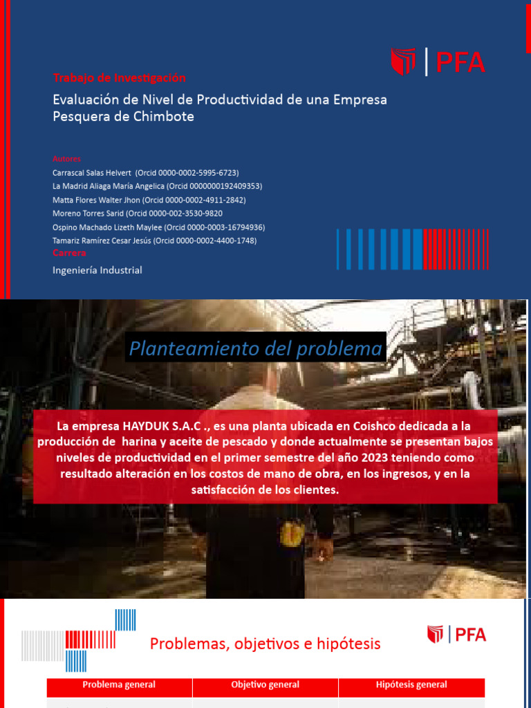 Productividad en HAYDUK S.A.C: Evaluación y Mejora | PDF | Business
