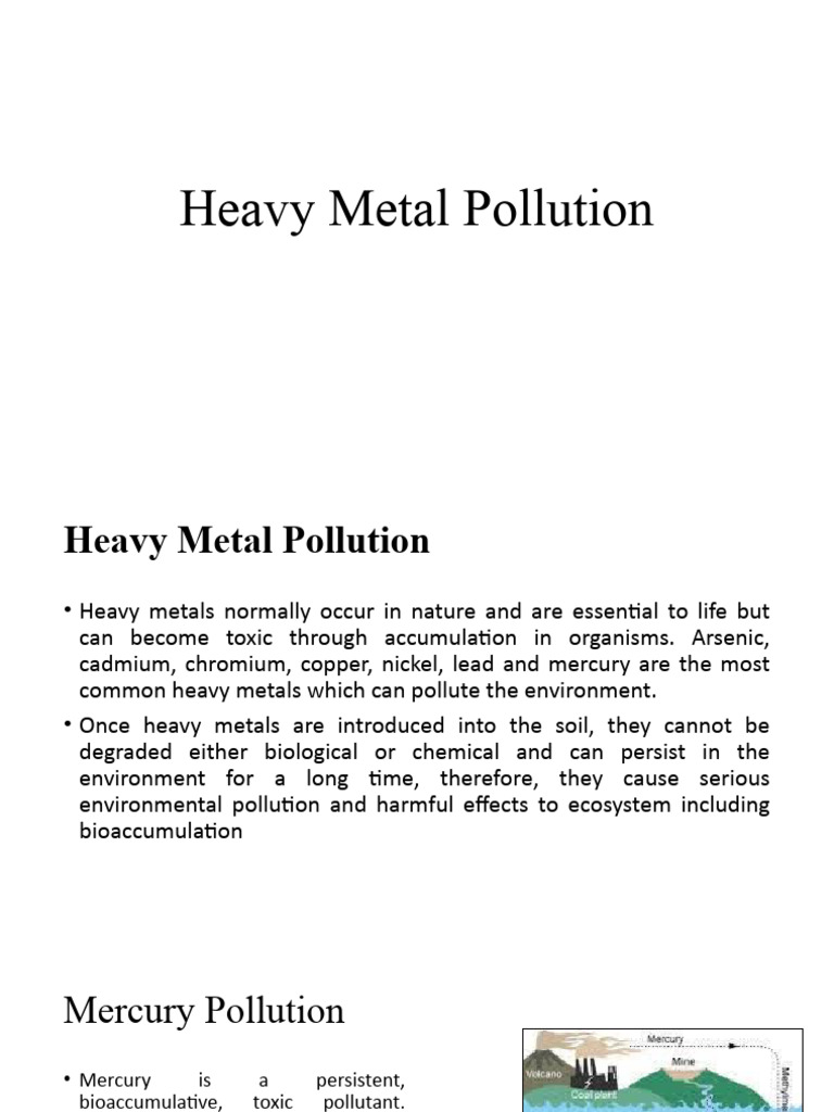 Heavy Metal Pollution Effects | PDF | Cadmium | Pollution