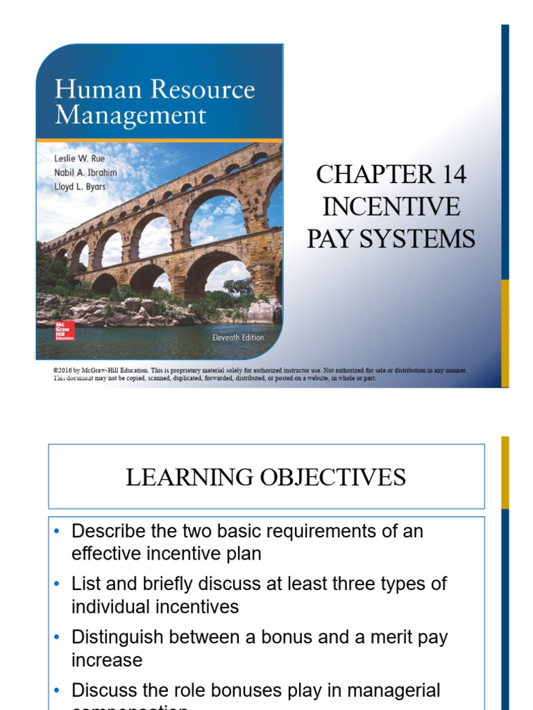 W9 Presentation IncentivePaySystems | PDF | Employee Stock Option | Stocks