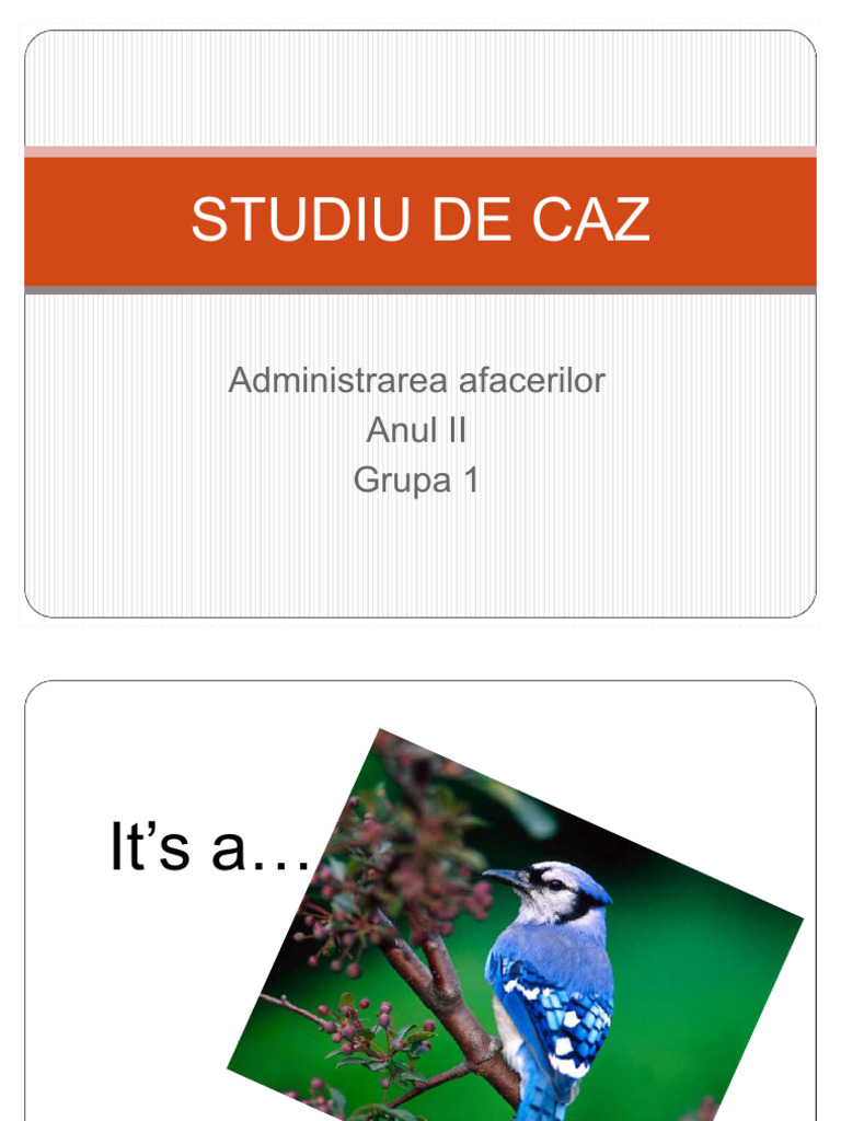 Studiu de Caz Dacia Automobile | PDF