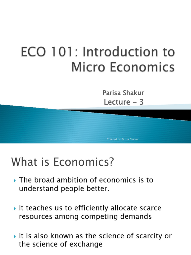 Lecture - 3: Parisa Shakur | PDF | Economics | Opportunity Cost
