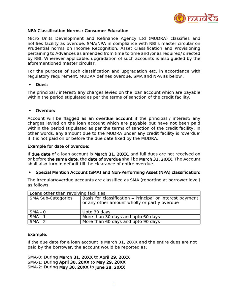 NPA Classification Norms - Customer Awareness | PDF | Line Of Credit ...