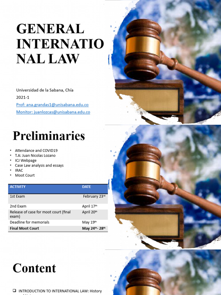 Overview of International Law Principles | PDF | Treaty | International Law