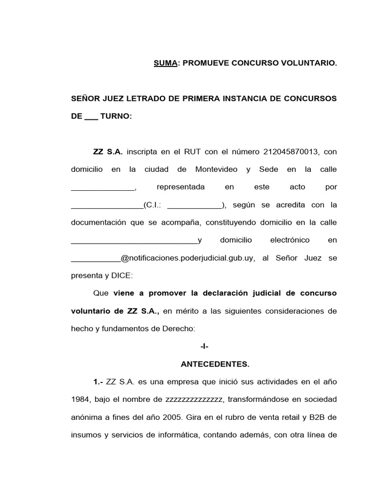 Modelo Solicitud de Concurso Voluntario | PDF | Liquidación