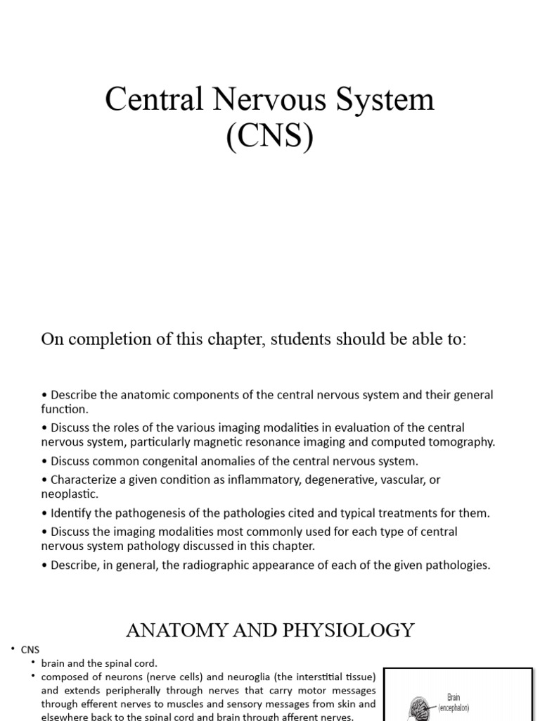 2.central Nervous System (CNS) | PDF | Stroke | Meningitis