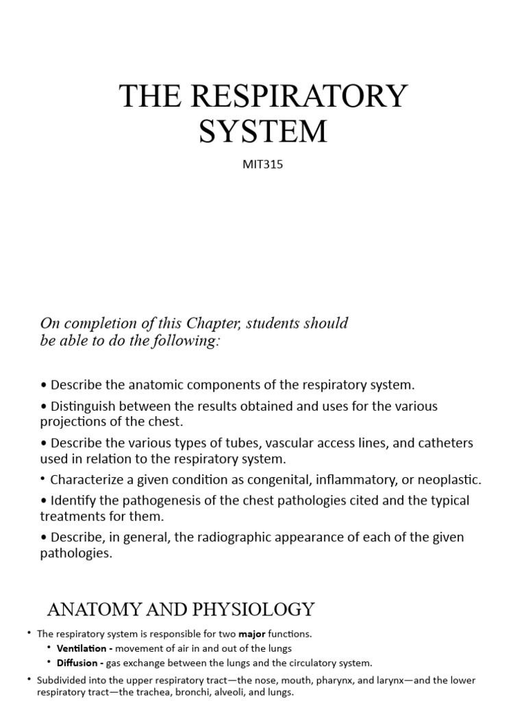 3.the Respiratory System | PDF | Respiratory Tract | Thorax