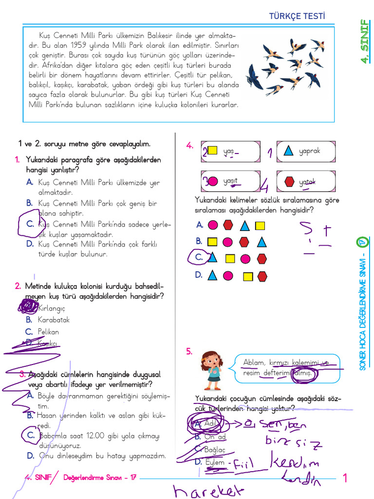 Sinif Deneme Sinavi 17 | PDF