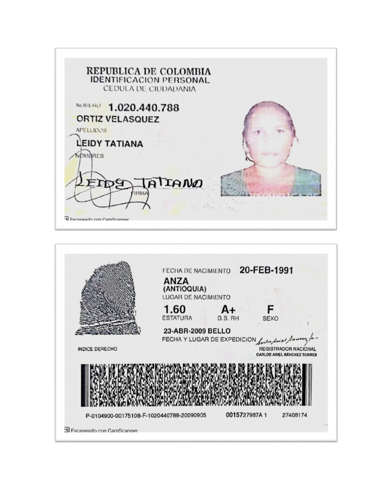Documentación Leidy Tatiana Ortiz | PDF | Gobierno y personalidad | Gobierno