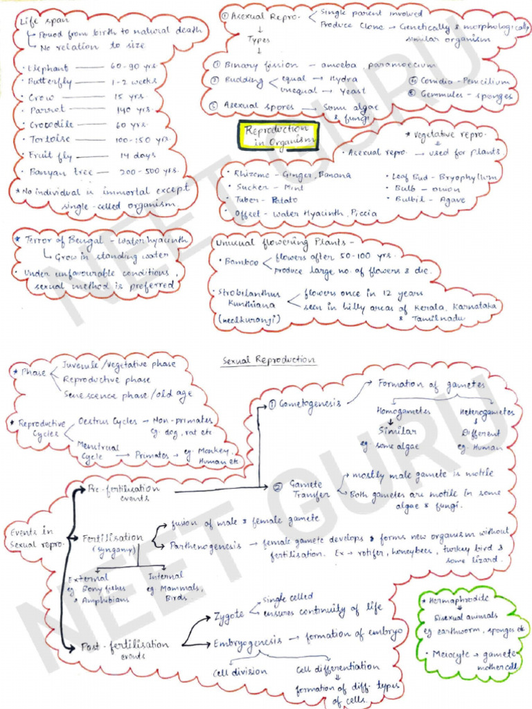 Chap 1 Reproduction in Organisms Mind Map | Download Free PDF | Plants ...