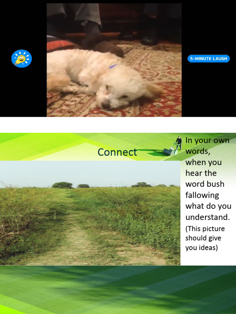 Advantages and Disadvantages of Bush Fallowing | PDF | Crop Rotation | Soil