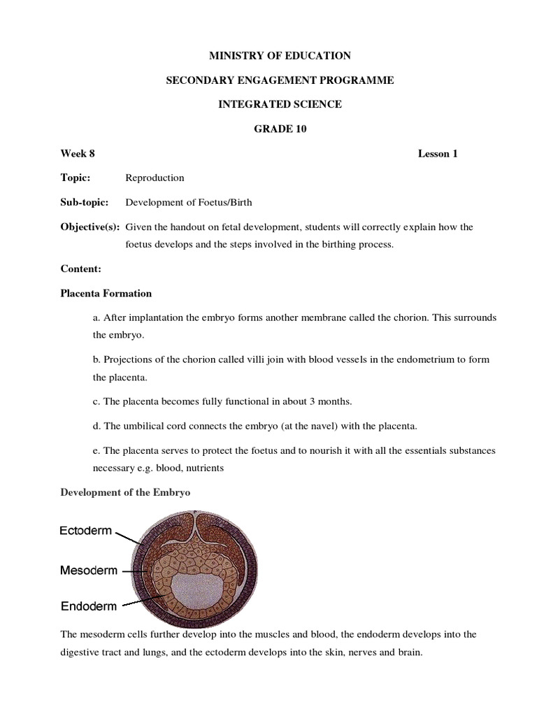 Grade 10 Integrated Science Week 8 Lesson 1 | PDF | Fetus | Placenta
